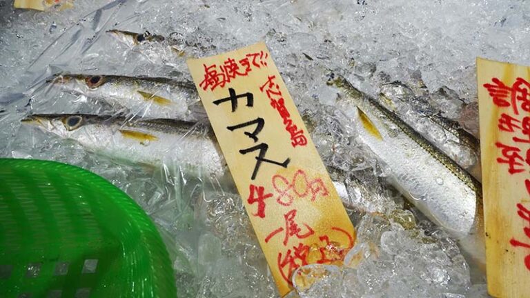 宗像の魚屋tonkoya（とんこや）の映えるランチメニューがすごい！ 古賀マガジン 4143